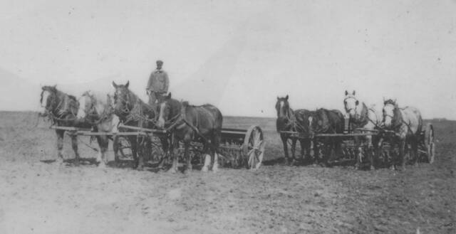 Memories of Farming in 1912 | Devil's Lake Daily Journal